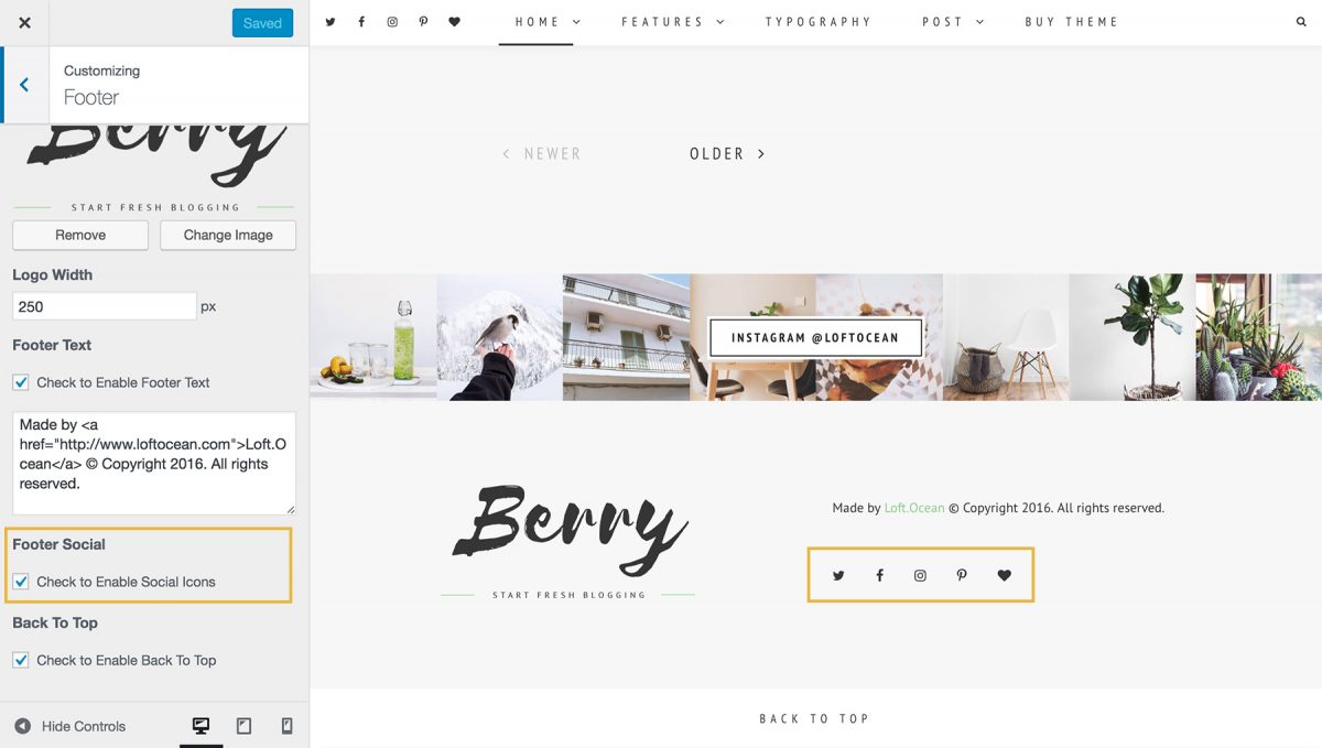 Display Social Media Icons in Header, Footer & Sidebar – Berry